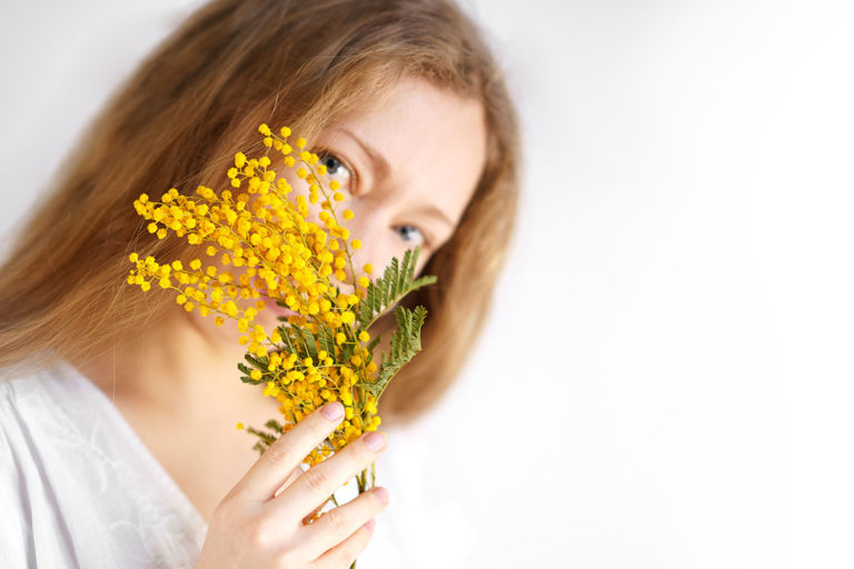 La mimosa: perché si regala proprio l’8 marzo ovvero alla Festa della ...