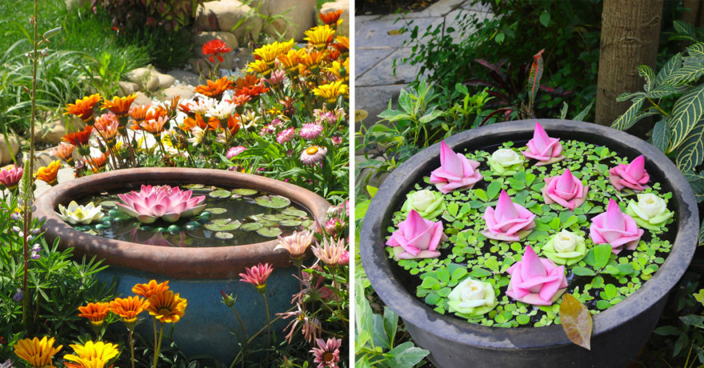 Piccoli, creativi laghetti in vaso per un giardino da favola ...