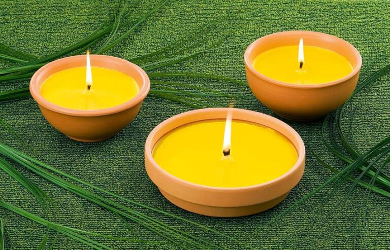 Questa semplice candela alla citronella fai-da-te terrà lontani gli ...